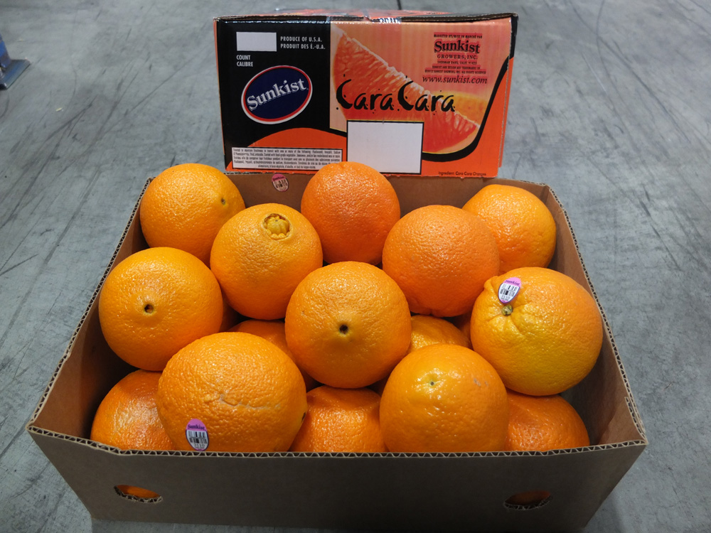 Fruitable Fresh | Fruits | Malaysia