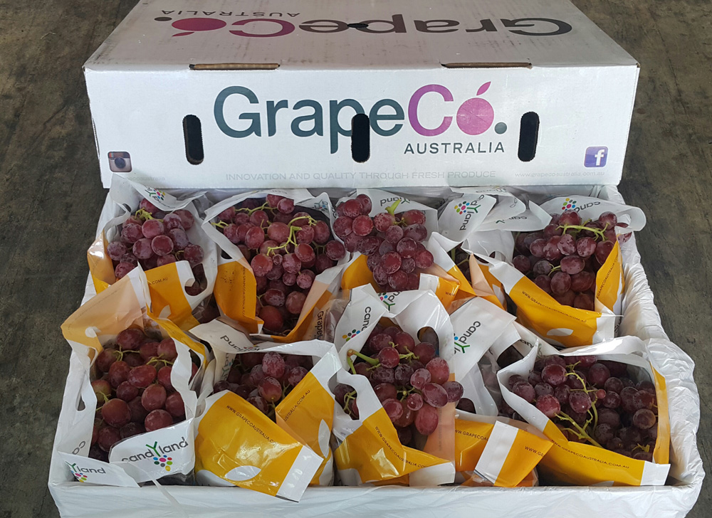 Fruitable Fresh | Fruits | Malaysia