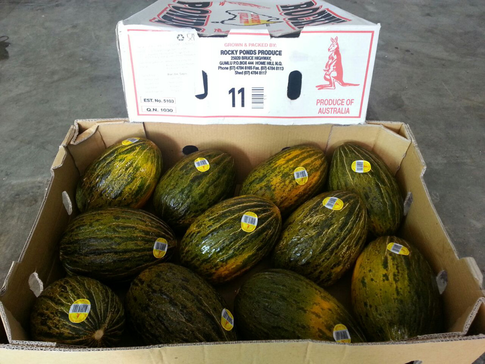 Fruitable Fresh | Fruits | Malaysia