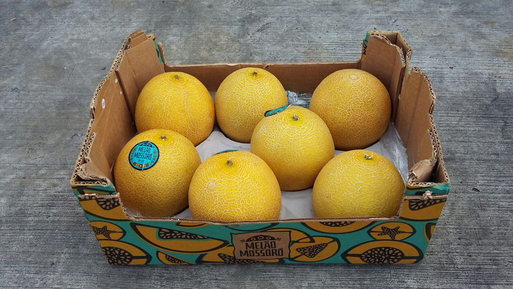 Fruitable Fresh | Fruits | Malaysia