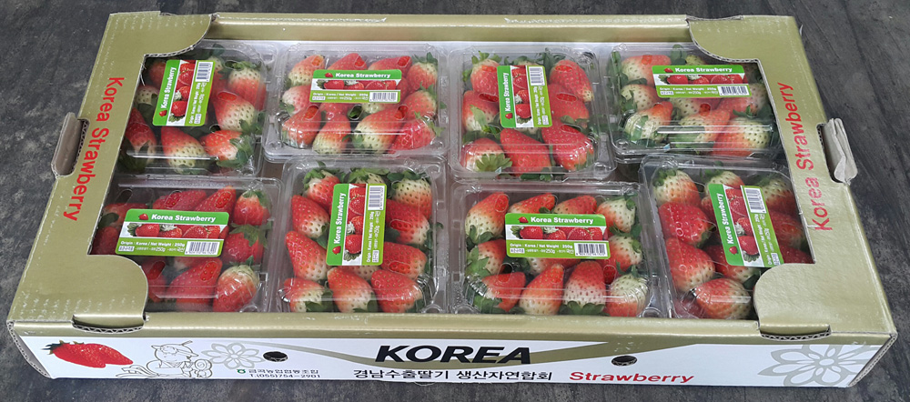 Fruitable Fresh | Fruits | Malaysia