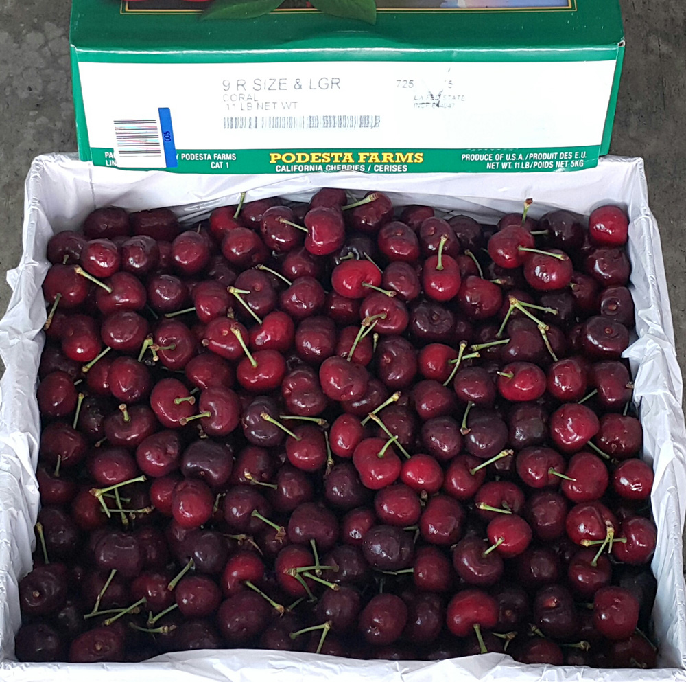 Fruitable Fresh | Fruits | Malaysia